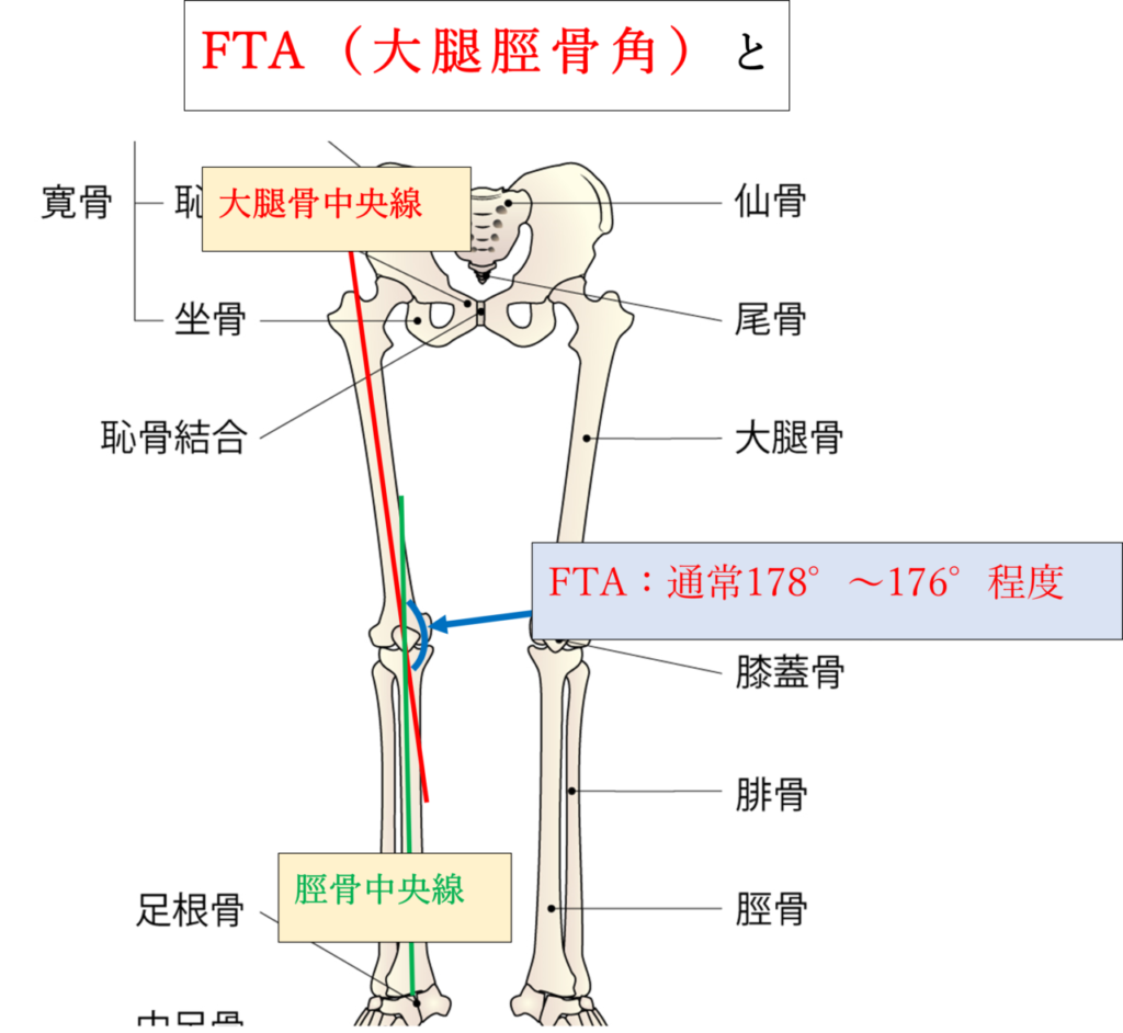 脛骨外旋偏位 | 新中野の整骨院｜健幸堂整骨院